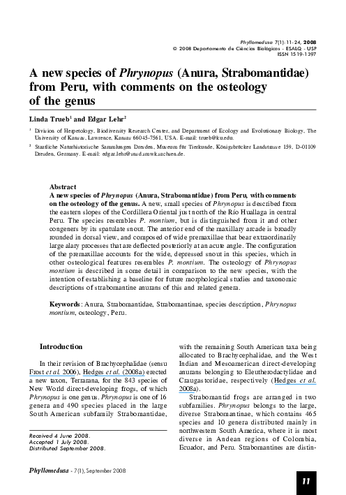 (PDF) A new species of Phrynopus (Anura, Strabomantidae) from Peru ...