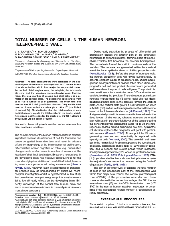 (PDF) Total number of cells in the human newborn telencephalic wall