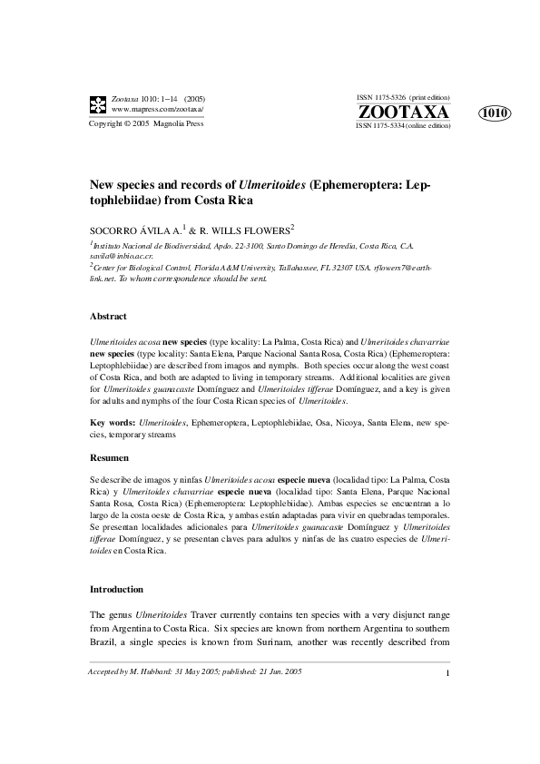 (PDF) New species and records of Ulmeritoides (Ephemeroptera: Lep ...