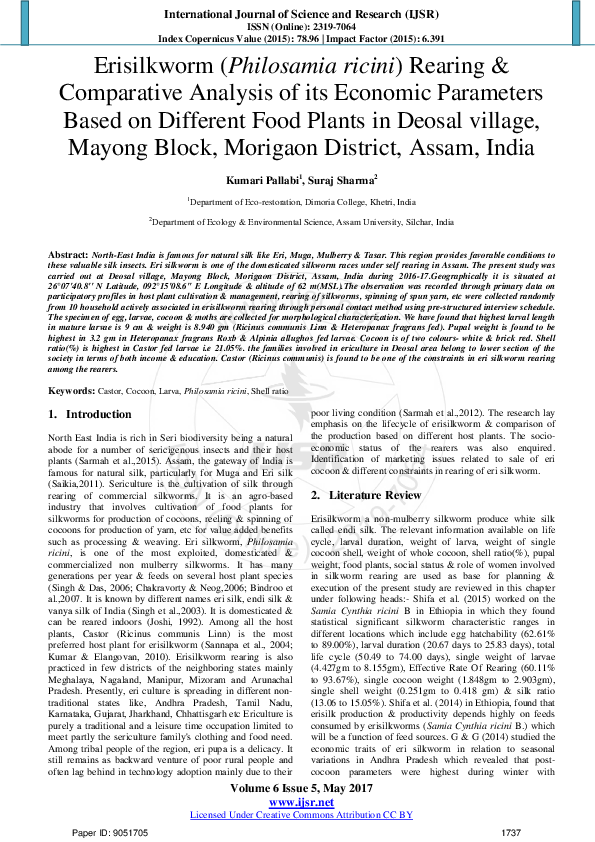 (PDF) Erisilkworm (Philosamia ricini) Rearing & Comparative Analysis of ...