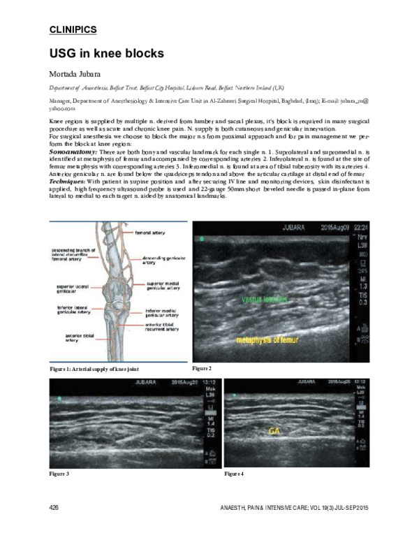 (PDF) CLINIPICS USG in knee blocks Figure 1: Arterial supply of knee ...