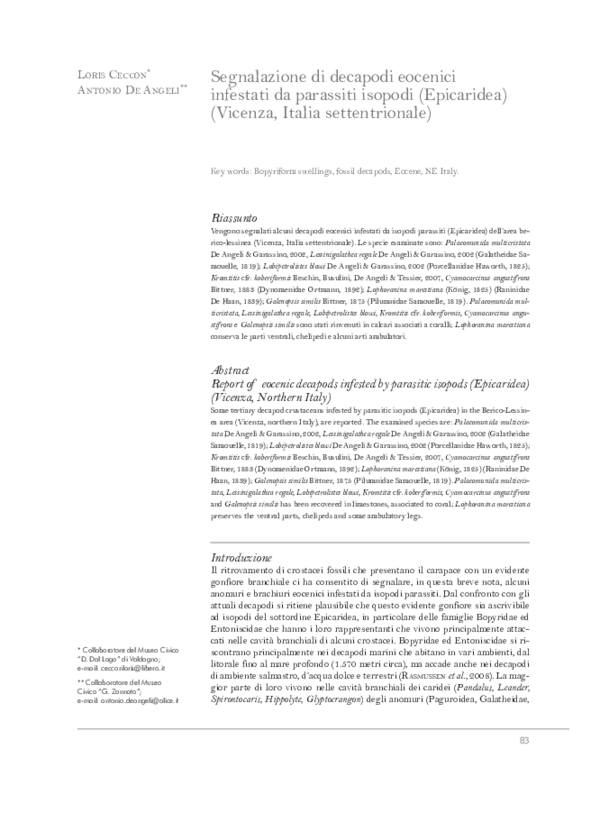 (PDF) Segnalazione di decapodi eocenici infestati da parassiti isopodi ...
