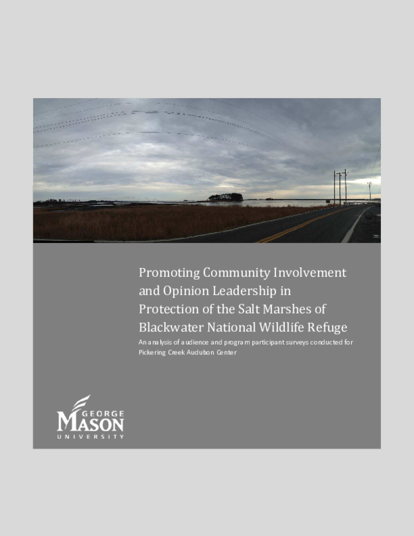 (PDF) Community Engagement in Salt Marsh Conservation Efforts