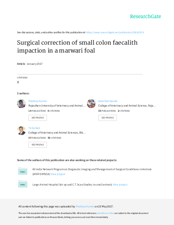 (PDF) Surgical correction of small colon faecalith impaction in a ...