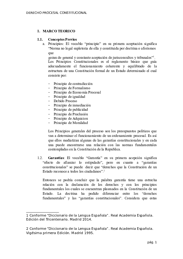 (DOC) Derecho procesal constitucional