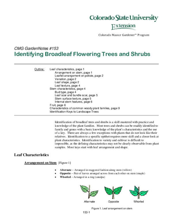 (PDF) Identifying Broadleaf Flowering Trees and Shrubs | Shamitha Shane ...