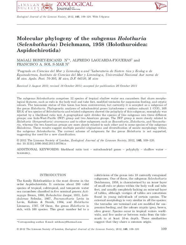 (PDF) Phylogeny of Labidodemas and the Holothuriidae (Holothuroidea ...
