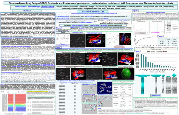 (PDF) Structure-Based Drug Design (SBDD), Synthesis and Evaluation of ...