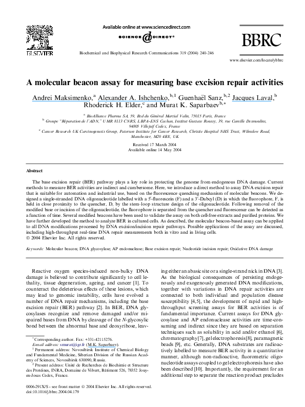 (PDF) A molecular beacon assay for measuring base excision repair ...