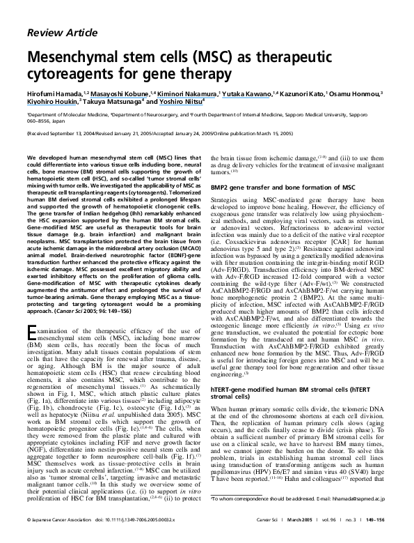 (PDF) Mesenchymal stem cells (MSC) as therapeutic cytoreagents for gene ...