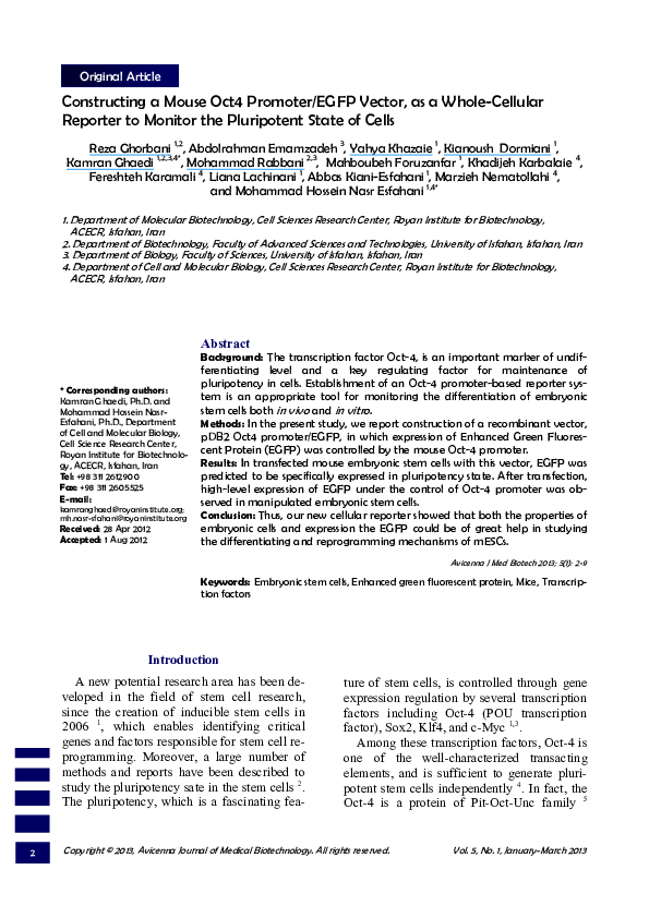 (PDF) Constructing a Mouse Oct4 Promoter/EGFP Vector, as a Whole ...