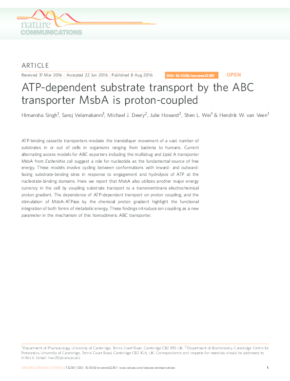 (PDF) ATP-dependent substrate transport by the ABC transporter MsbA is ...