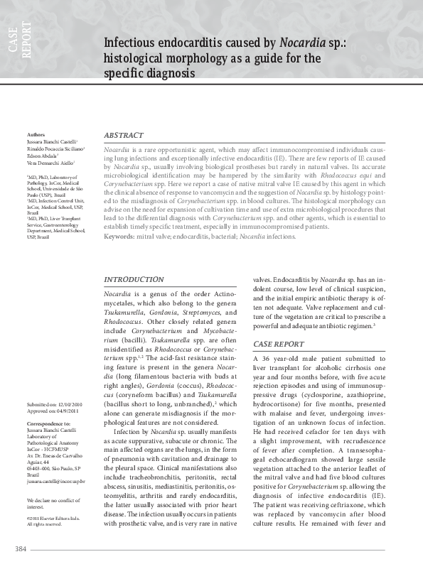 (PDF) Infectious endocarditis caused by Nocardia sp.: histological ...