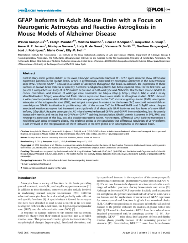 (PDF) GFAP Isoforms in Adult Mouse Brain with a Focus on Neurogenic ...
