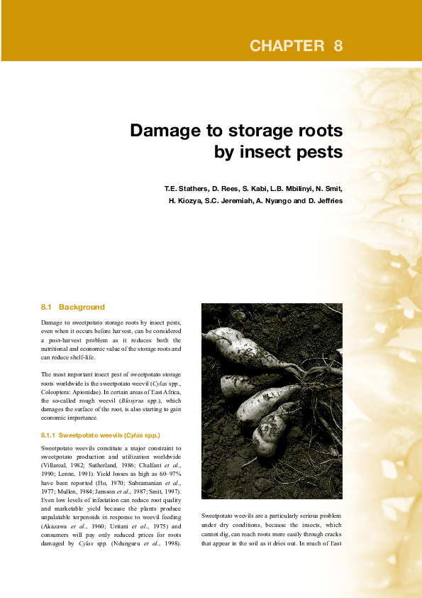 (PDF) Damage to storage roots by insect pests