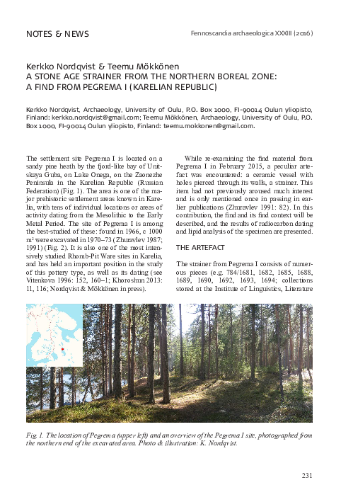 (PDF) A Stone Age strainer from the northern boreal zone: a find from ...