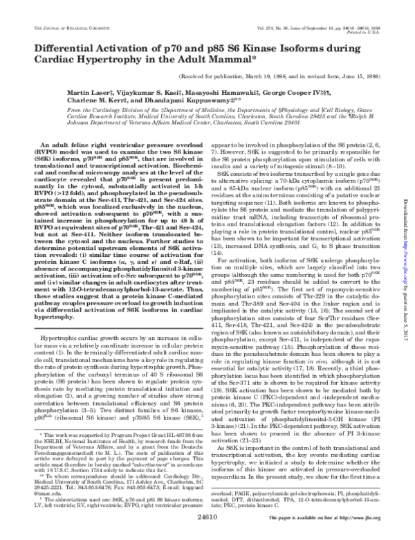 (PDF) Differential Activation of p70 and p85 S6 Kinase Isoforms during ...