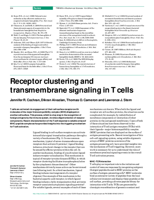(PDF) Receptor clustering and transmembrane signaling in T cells