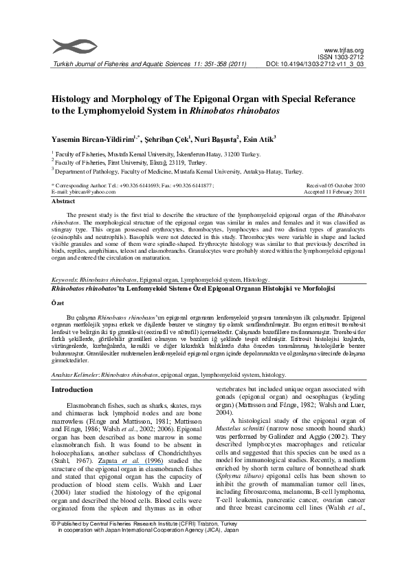(PDF) Histology and Morphology of The Epigonal Organ with Special ...