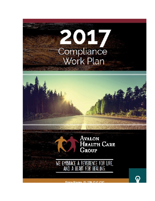 (DOC) Compliance Work Plan Draft | Donna Rooney - Academia.edu