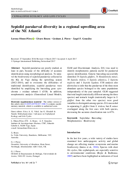 (PDF) Sepiolid paralarval diversity in a regional upwelling area of the ...