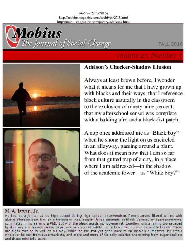 (PDF) Adelson’s Checker-Shadow Illusion