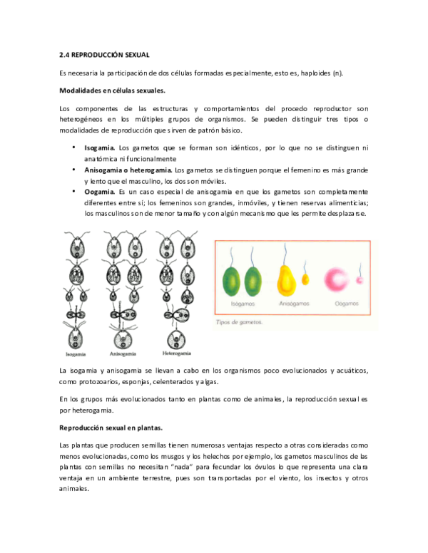 (PDF) 2.4 REPRODUCCIÓN SEXUAL