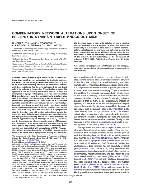 (PDF) Compensatory network alterations upon onset of epilepsy in ...