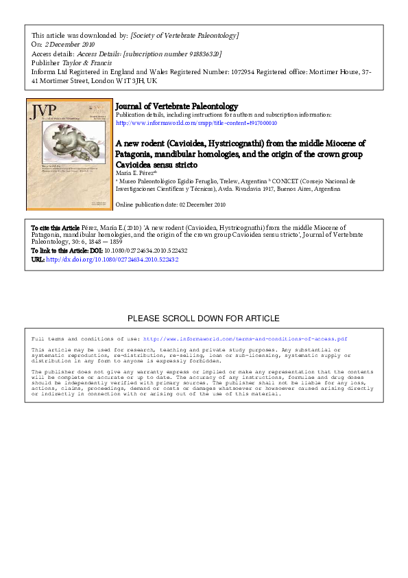 (PDF) A new rodent (Cavioidea, Hystricognathi) from the middle Miocene ...