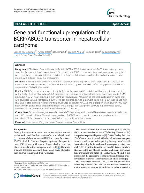 (PDF) Gene and functional up-regulation of the BCRP/ABCG2 transporter ...