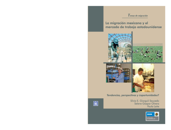 (PDF) Silvia E. Giorguli Saucedo, Selene Gaspar Olvera y Paula Leite ...
