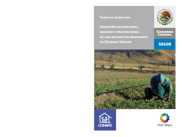 (PDF) Silvia E. Giorguli Saucedo y Selene Gaspar Olvera (2008 ...