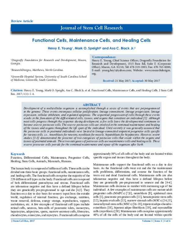 (PDF) Functional Cells, Maintenance Cells, and Healing Cells