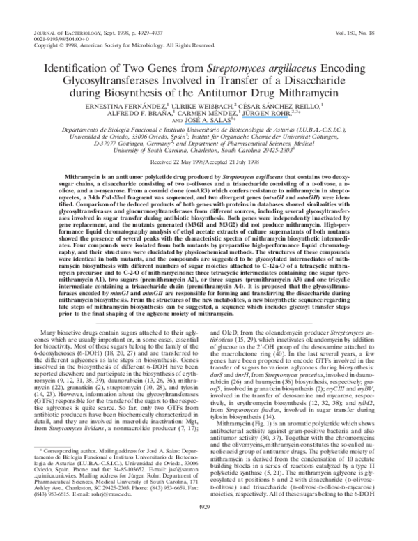 (PDF) A second ABC transporter is involved in oleandomycin resistance ...