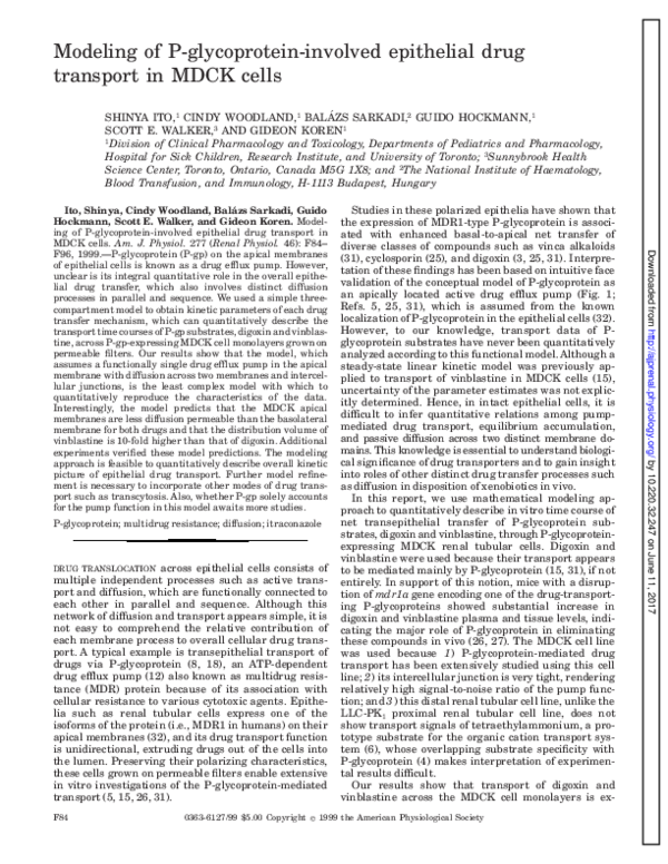 (PDF) Modeling of P-glycoprotein-involved epithelial drug transport in ...