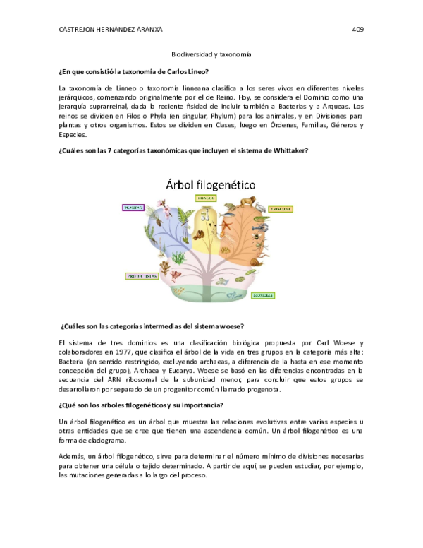 (DOC) Biodiversidad y taxonomía ¿En que consistió la taxonomía de ...