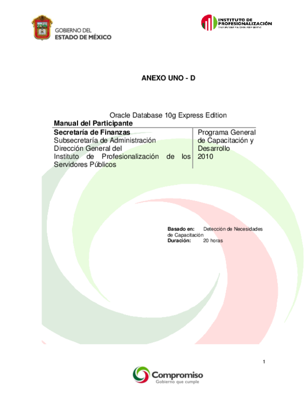 (PDF) Manual Oracle 10g