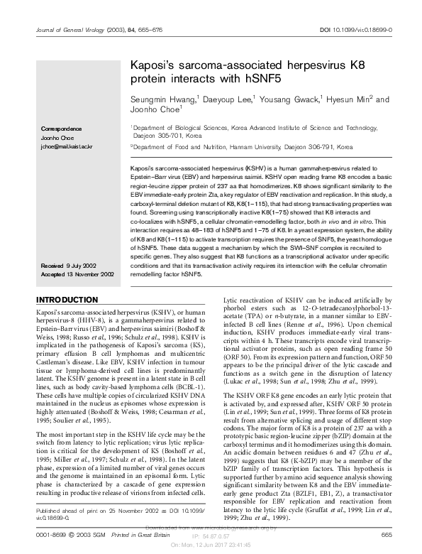 (PDF) Kaposi's sarcoma-associated herpesvirus K8 protein interacts with hSNF5