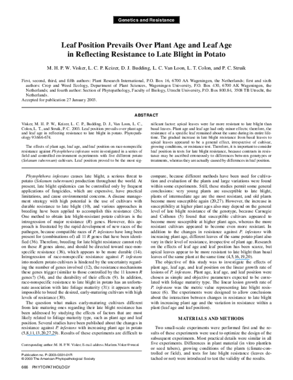 (PDF) Leaf Position Prevails Over Plant Age and Leaf Age in Reflecting ...