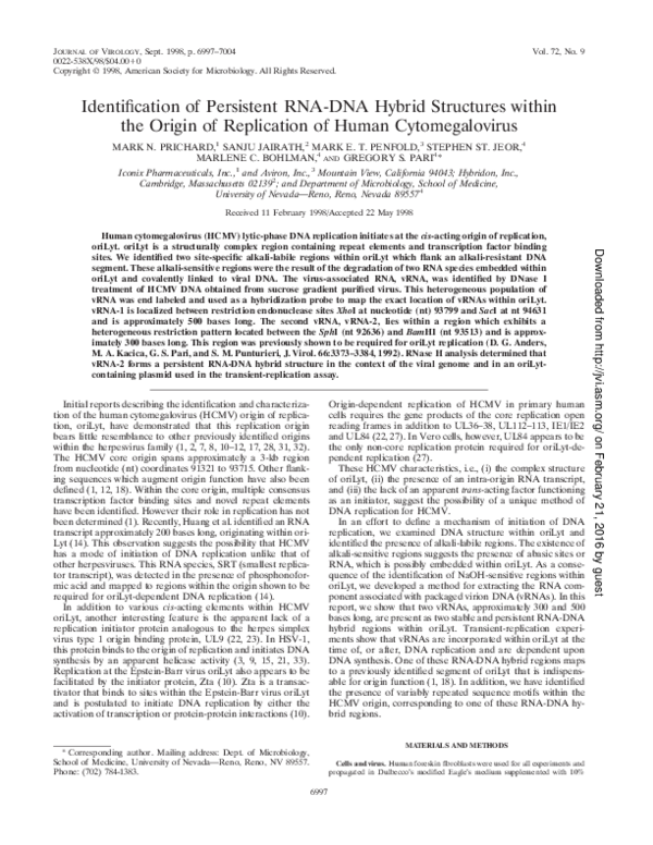 (PDF) Identification of persistent RNA-DNA hybrid structures within the ...