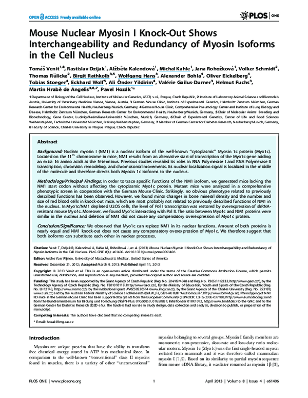 (PDF) Mouse Nuclear Myosin I Knock-Out Shows Interchangeability and ...