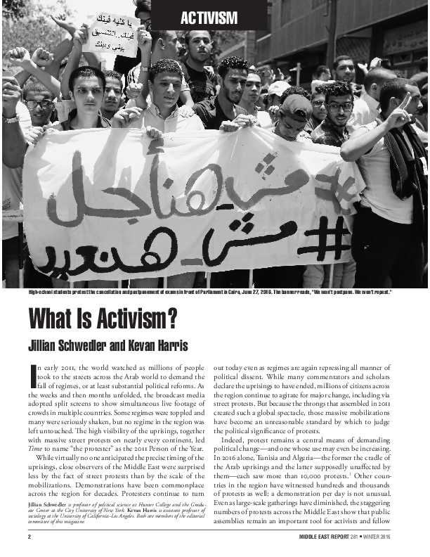 (PDF) What Is Activism?