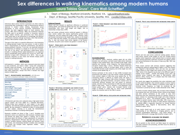 Ppt Sex Differences In Walking Kinematics Among Modern Humans Laura