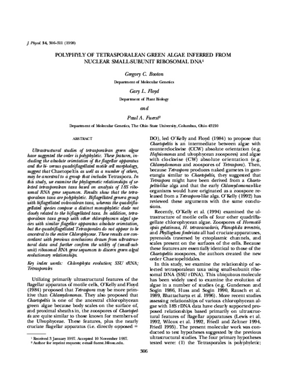 (PDF) Polyphyly of Tetrasporalean Green Algae Inferred from Nuclear ...