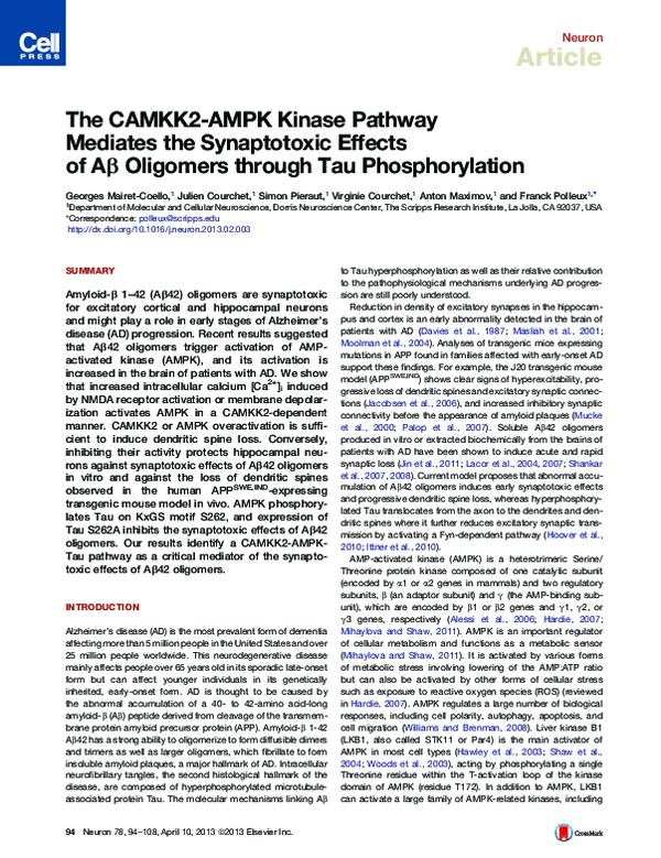 (PDF) The CAMKK2-AMPK Kinase Pathway Mediates the Synaptotoxic Effects ...