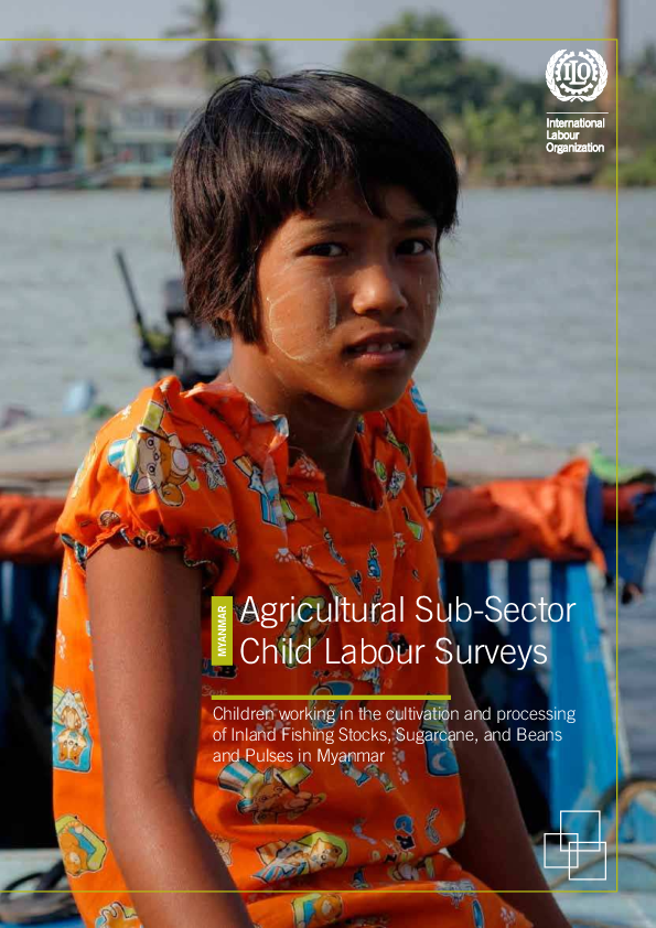 (PDF) Agricultural Sub-Sector Child Labour Surveys Children working in ...