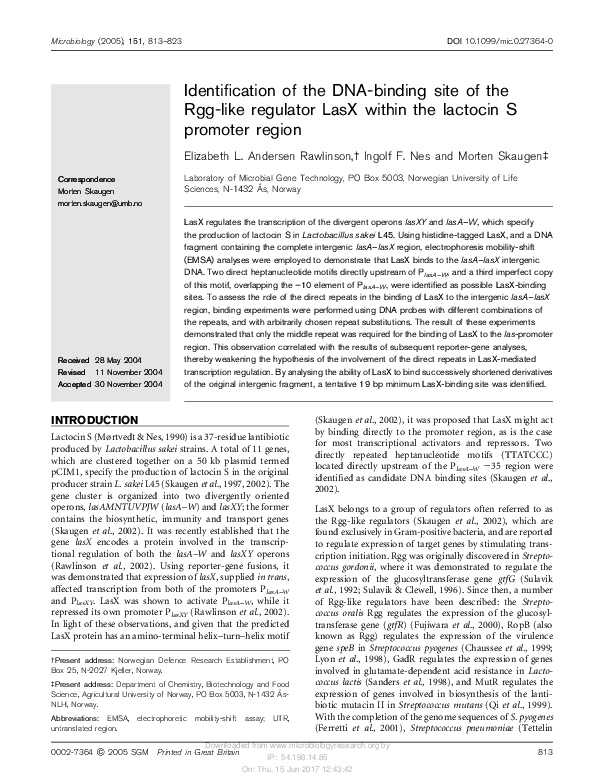 (PDF) LasX DNA-Binding Site in Lactocin S Regulation