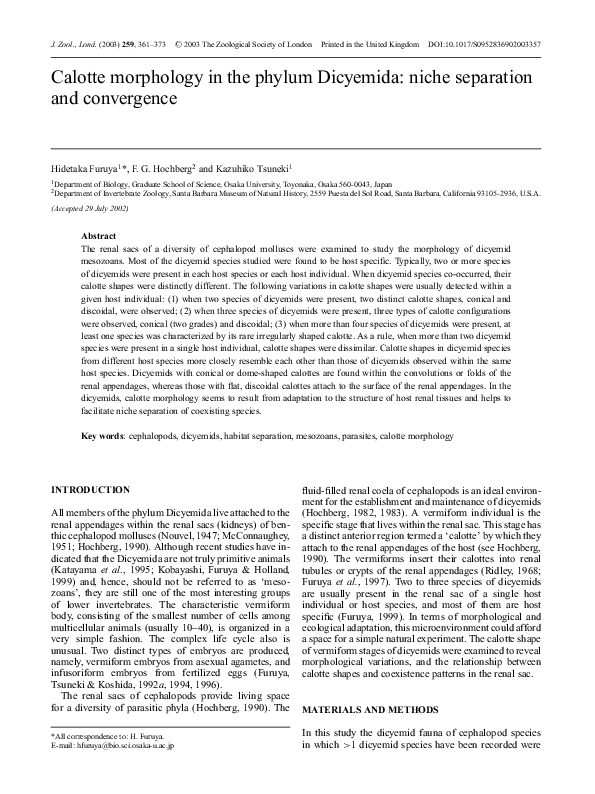 (PDF) Calotte morphology in the phylum Dicyemida: niche separation and ...