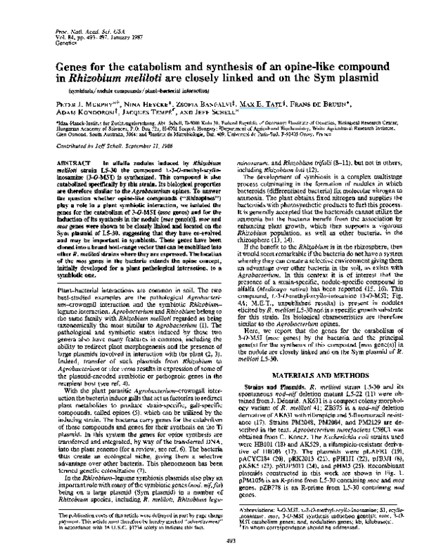 (PDF) Genes for the Catabolism and Synthesis of an Opine-Like Compound ...
