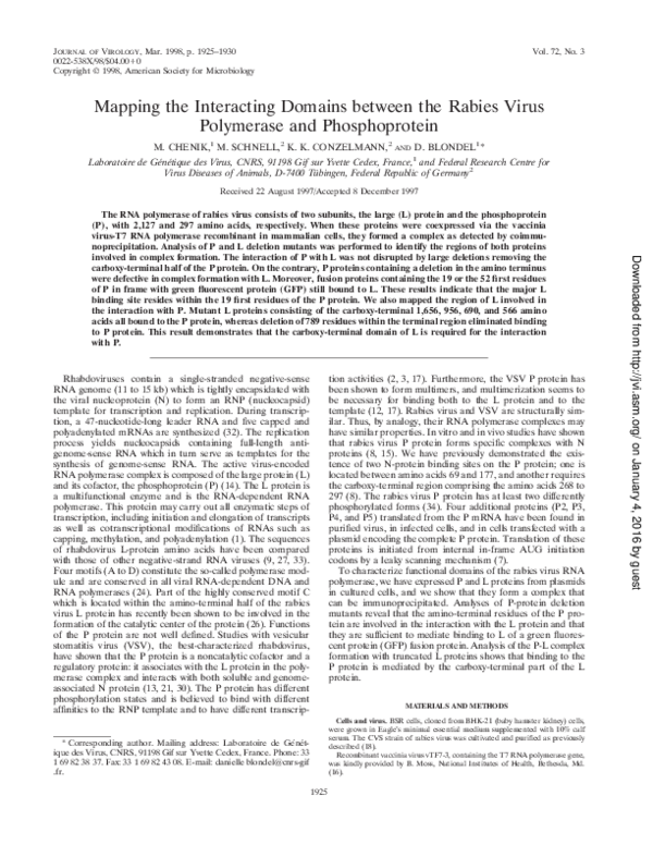 (PDF) Mapping the interacting domains between the rabies virus ...